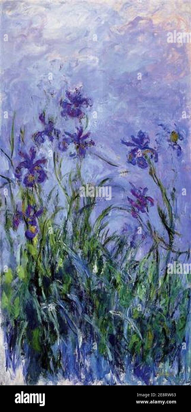 Monet irises hi-res stock photography and images - Alamy
