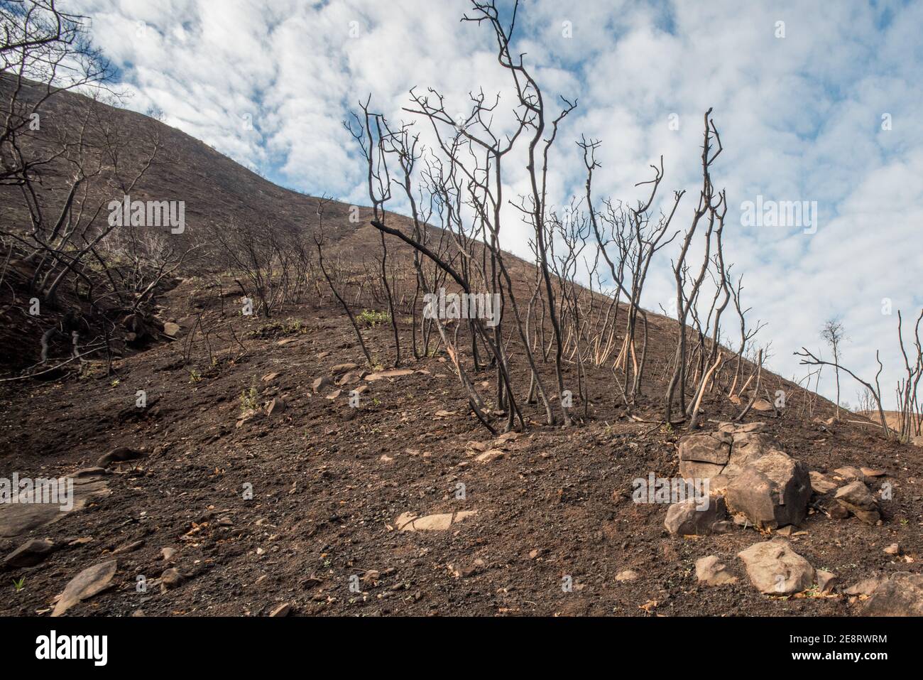 The burned landscape of California after fires from the lighting ...