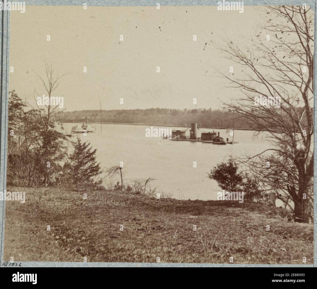Monitor onondaga hi-res stock photography and images - Alamy