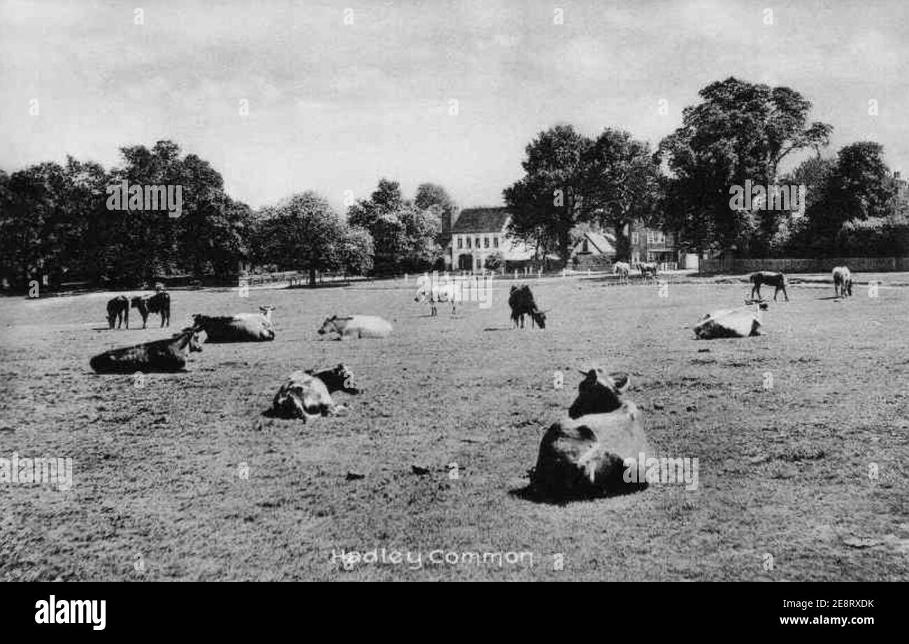 Monken Hadley Common and Hurst Cottage Stock Photo - Alamy