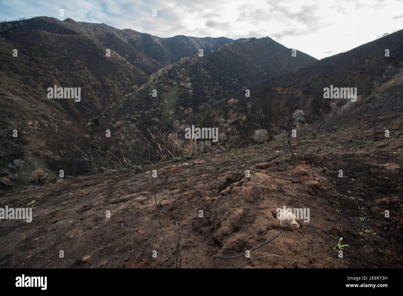 The burned landscape of California after fires from the lighting ...