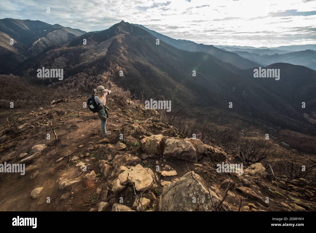 A hiker stands in the burned landscape left behind after wildfires ...