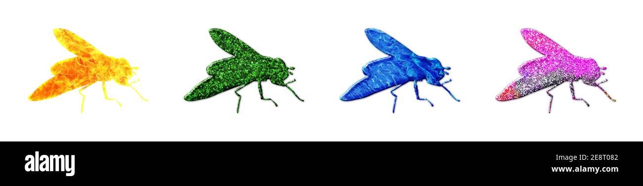 Illustration of four flies with colorful textures isolated on a white ...