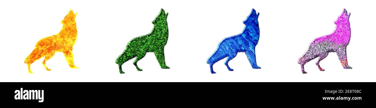 Illustration of four wolves with colorful textures isolated on a white ...