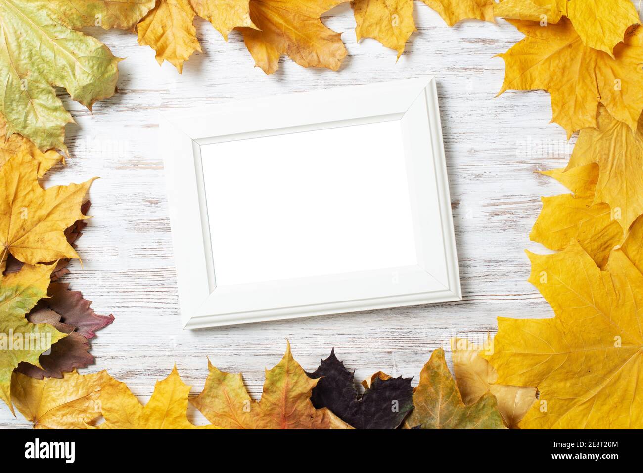 Fall rectangular frame autumn hi-res stock photography and images - Alamy