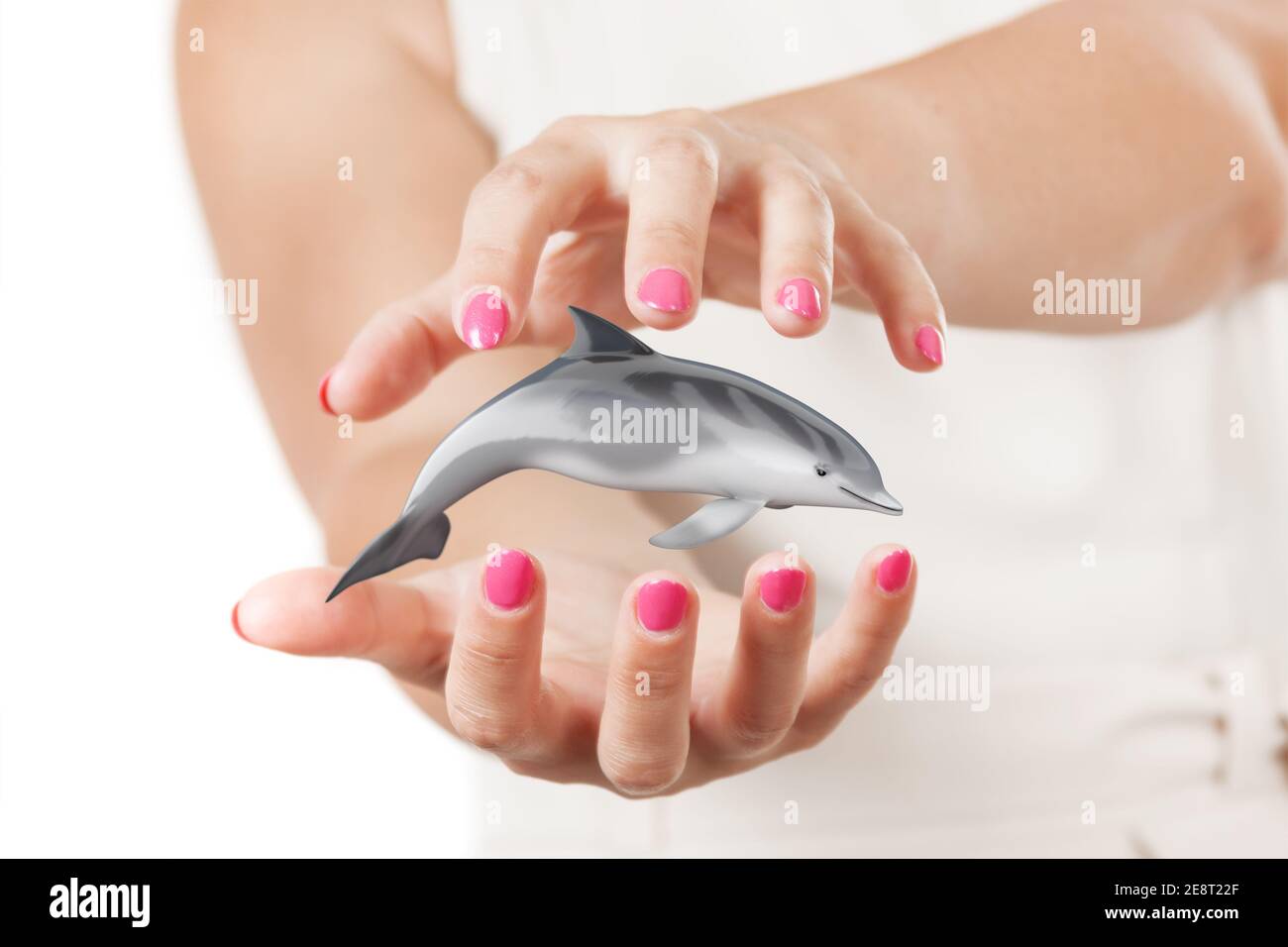 Two Woman Hands Protecting Tursiops Truncatus Ocean or Sea Bottlenose ...