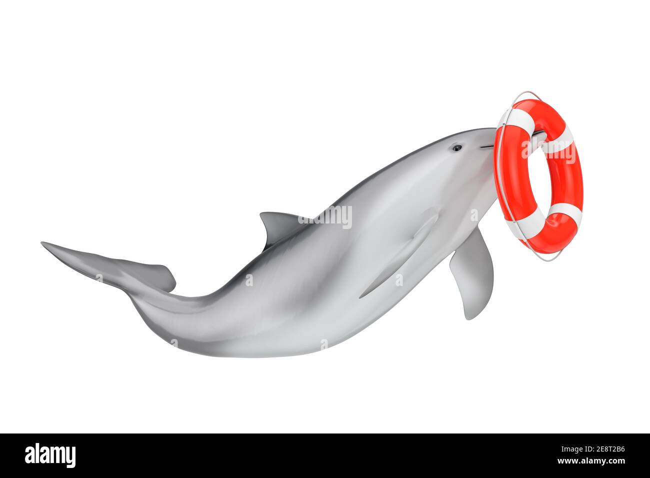 Tursiops Truncatus Ocean or Sea Bottlenose Dolphin with Life Buoy on a ...