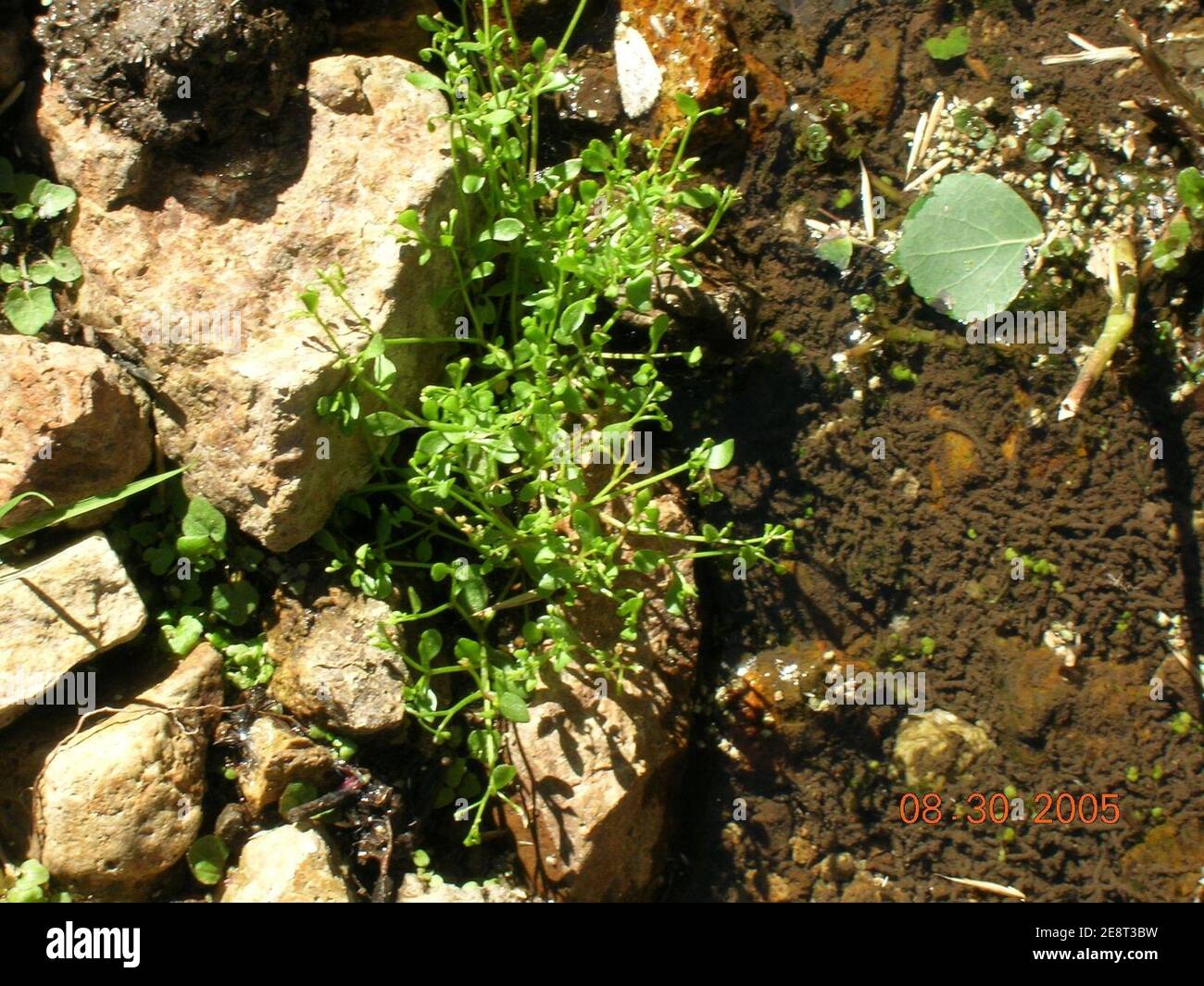 Mofo High Resolution Stock Photography and Images - Alamy