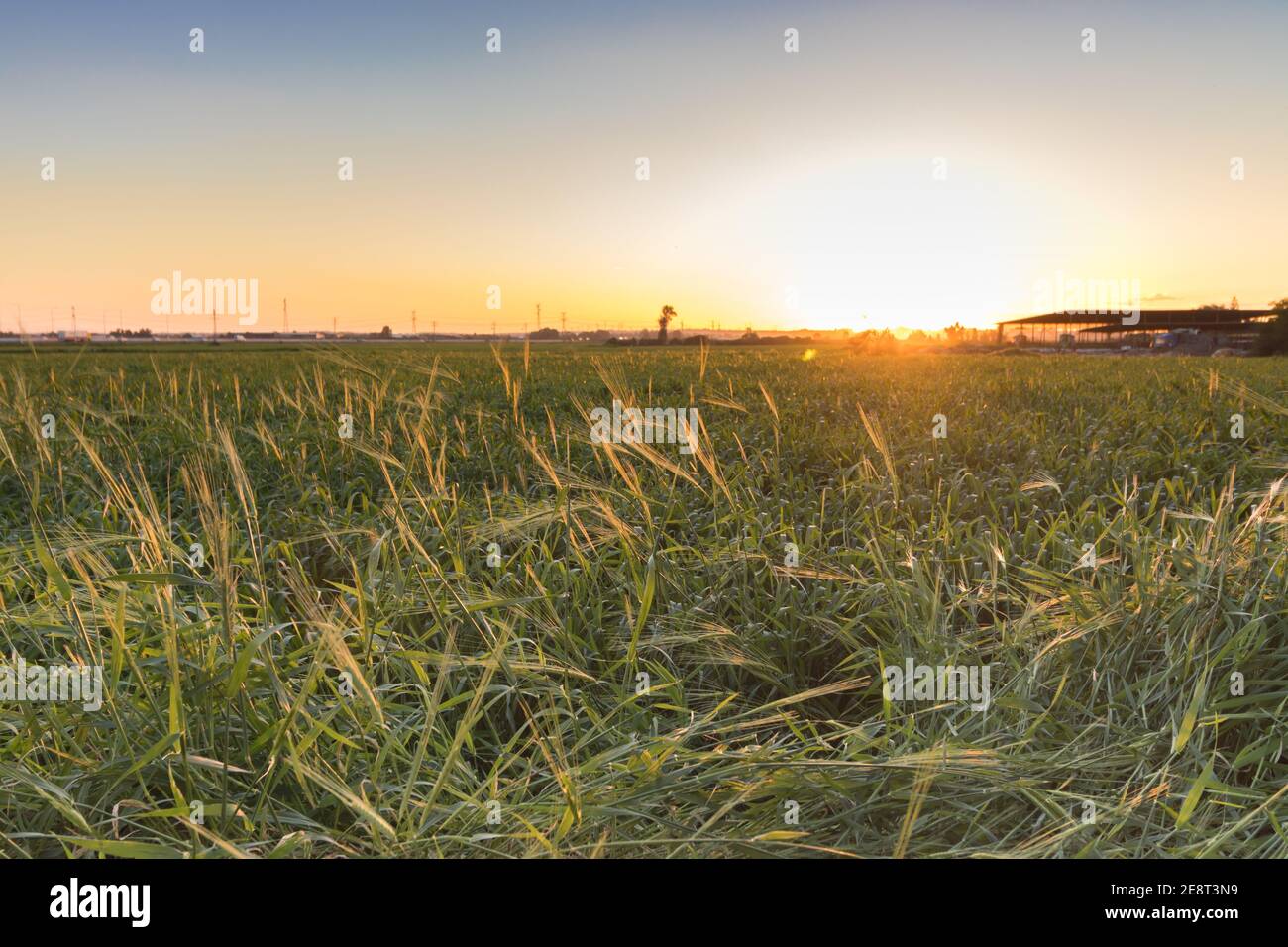 Agriculture hdr farm farming hi-res stock photography and images - Alamy