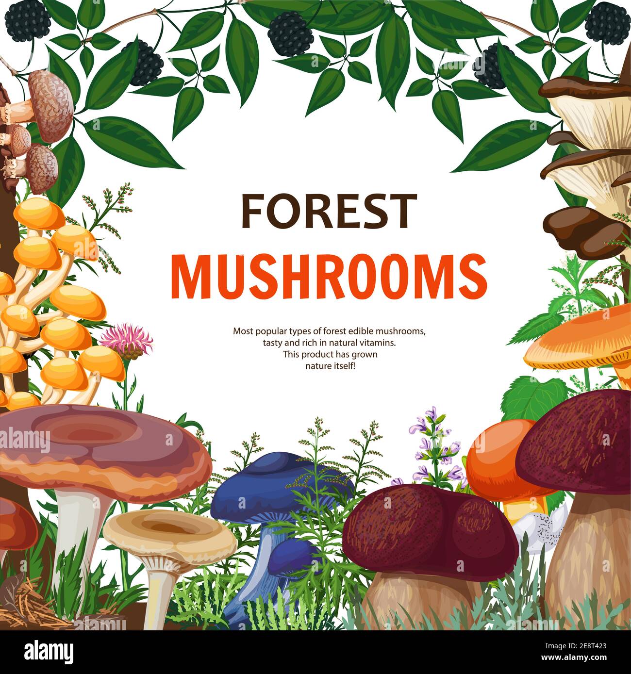 Cap field mushrooms Stock Vector Images - Alamy