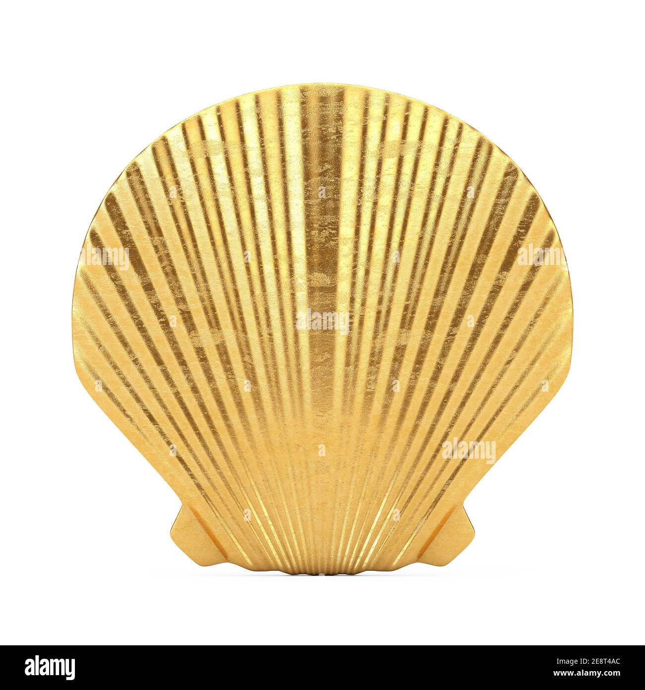 Beauty Golden Scallop Sea or Ocean Shell Seashell Mock Up on a white ...
