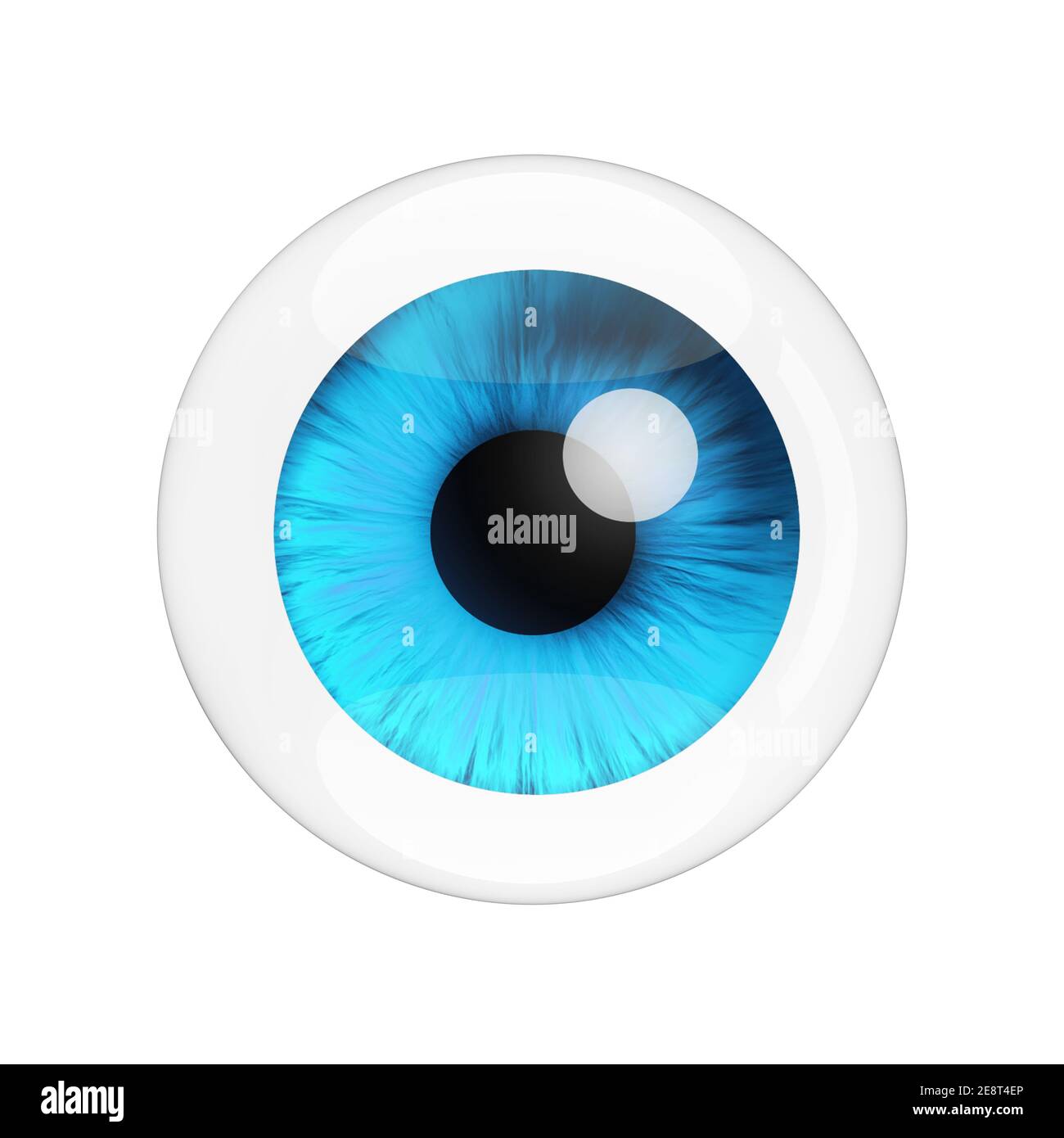 Pupil eye eye ball realistic hi-res stock photography and images - Alamy