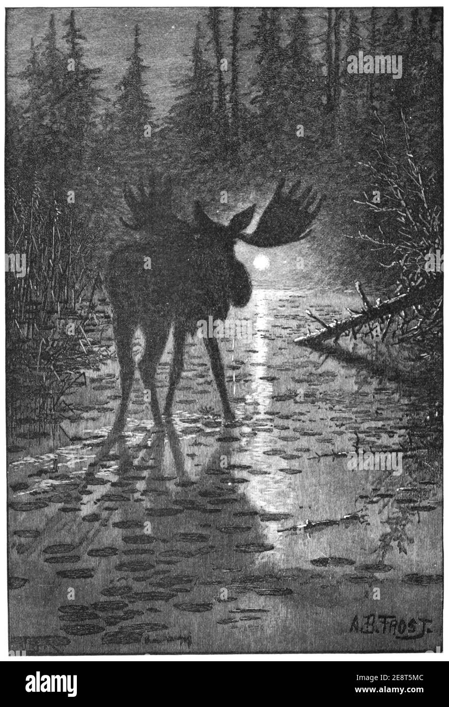 Moose-Hunting by Jacklight from a drawing by A B Frost Stock Photo - Alamy