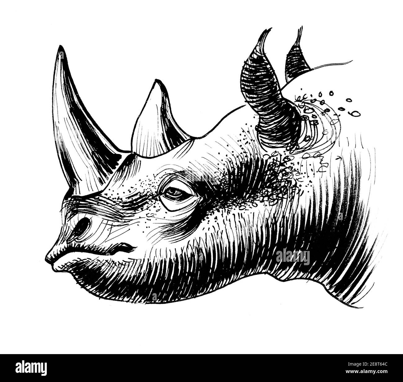 Rhino Head Drawing