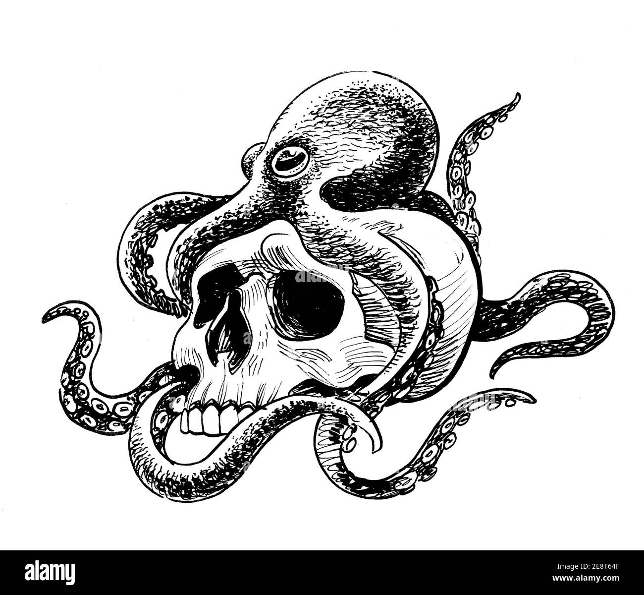Octopus Ink Illustration