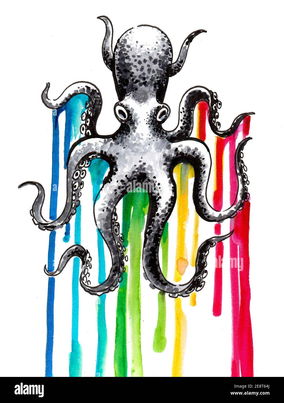 Rainbow squid hi-res stock photography and images - Alamy