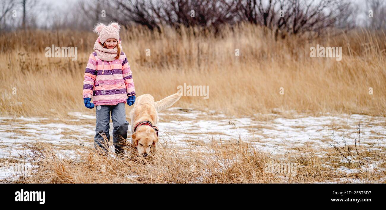 Golden retriever dog catching up little girl Stock Photo - Alamy