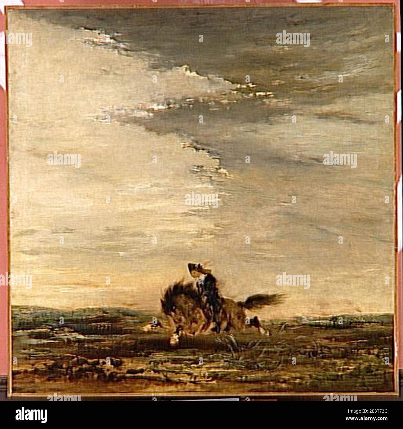 Cat 209 hi-res stock photography and images - Alamy