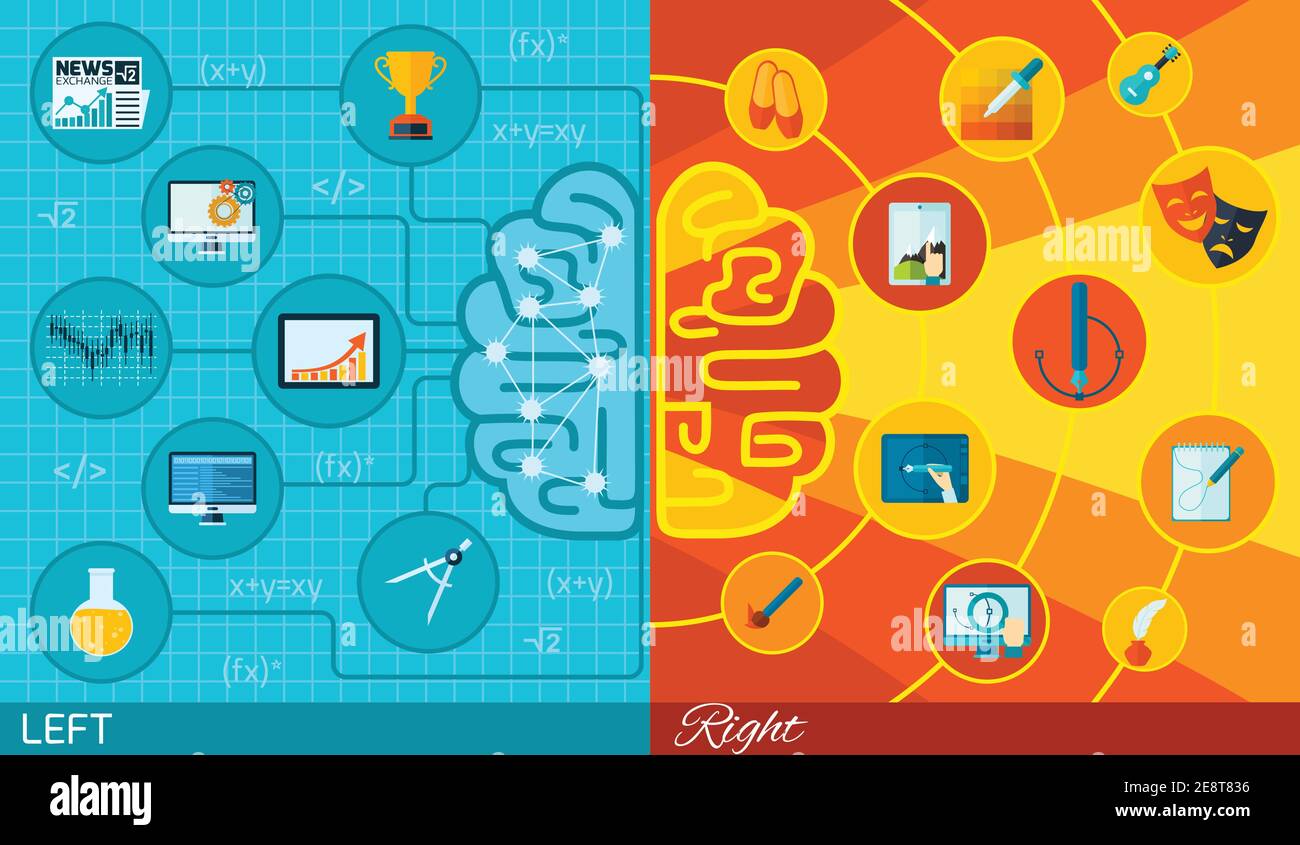 Left and right half brain difference math logic or art and creativity ...
