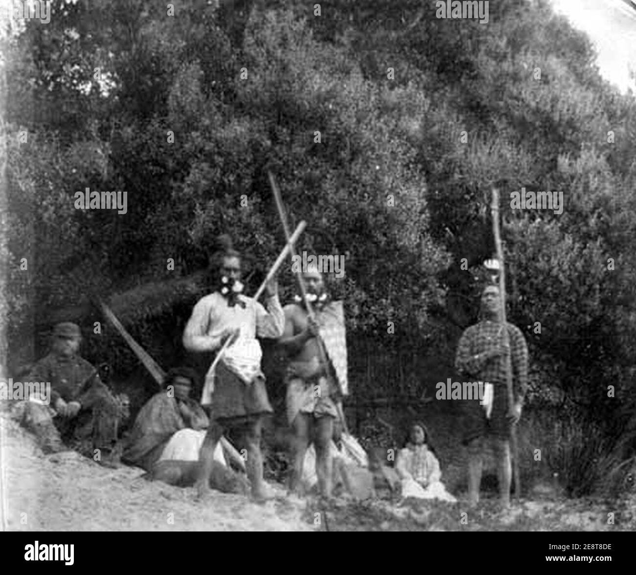 Moriori hi-res stock photography and images - Alamy