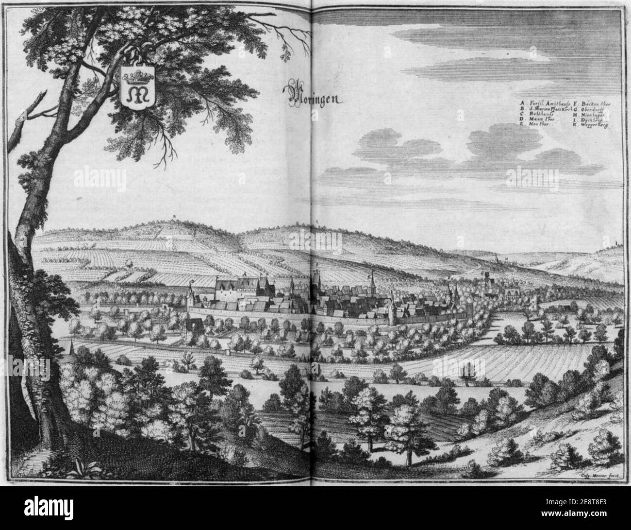 Moringen hi-res stock photography and images - Alamy