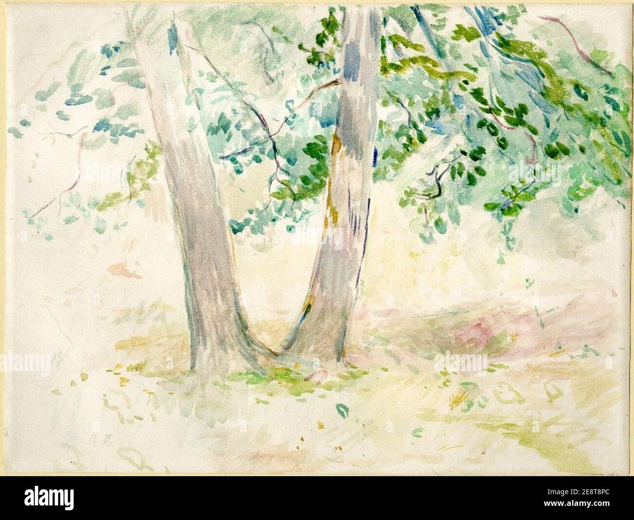 Morisot - Study of trees, 1949,0411.76 Stock Photo - Alamy