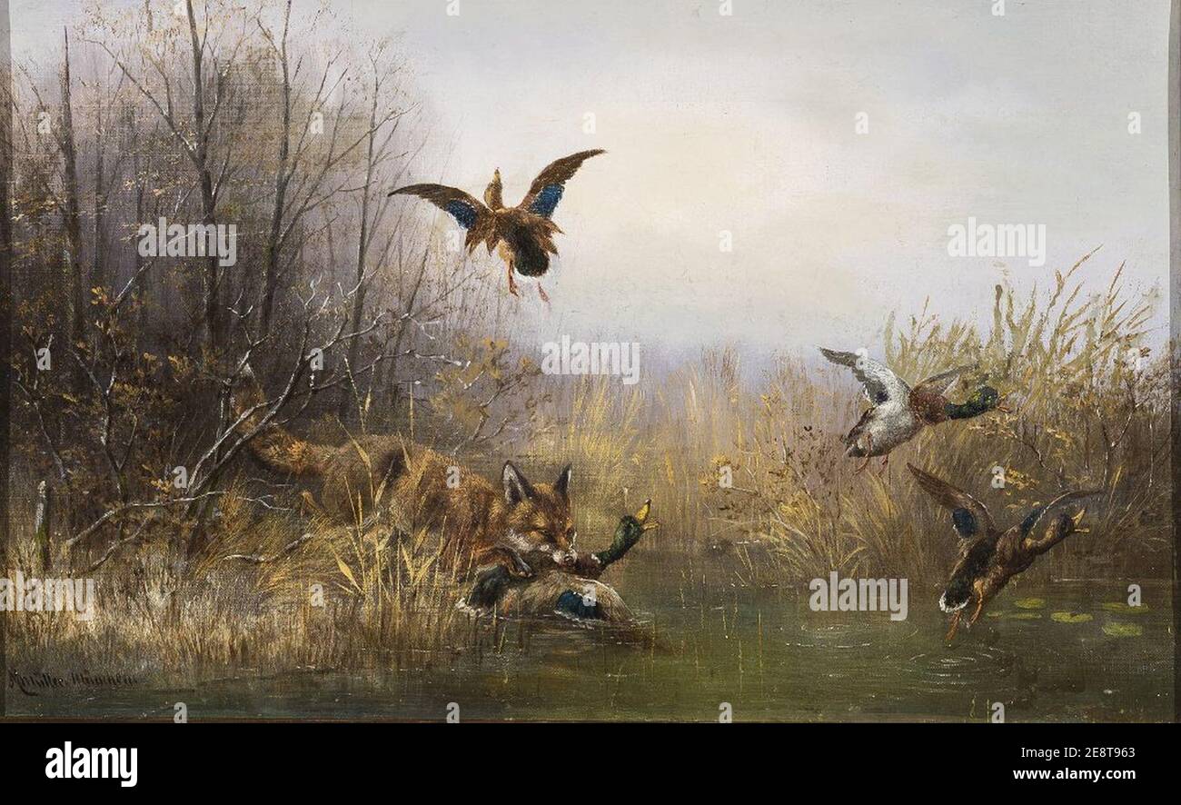 Moritz Müller (1841–1899) - Fuchs fängt eine Wildente am Seeufer Stock ...