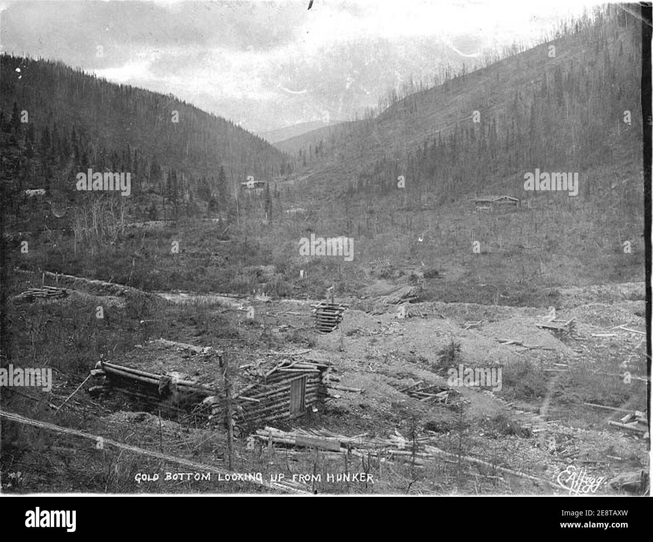 Yukon gold bottom hi-res stock photography and images - Alamy