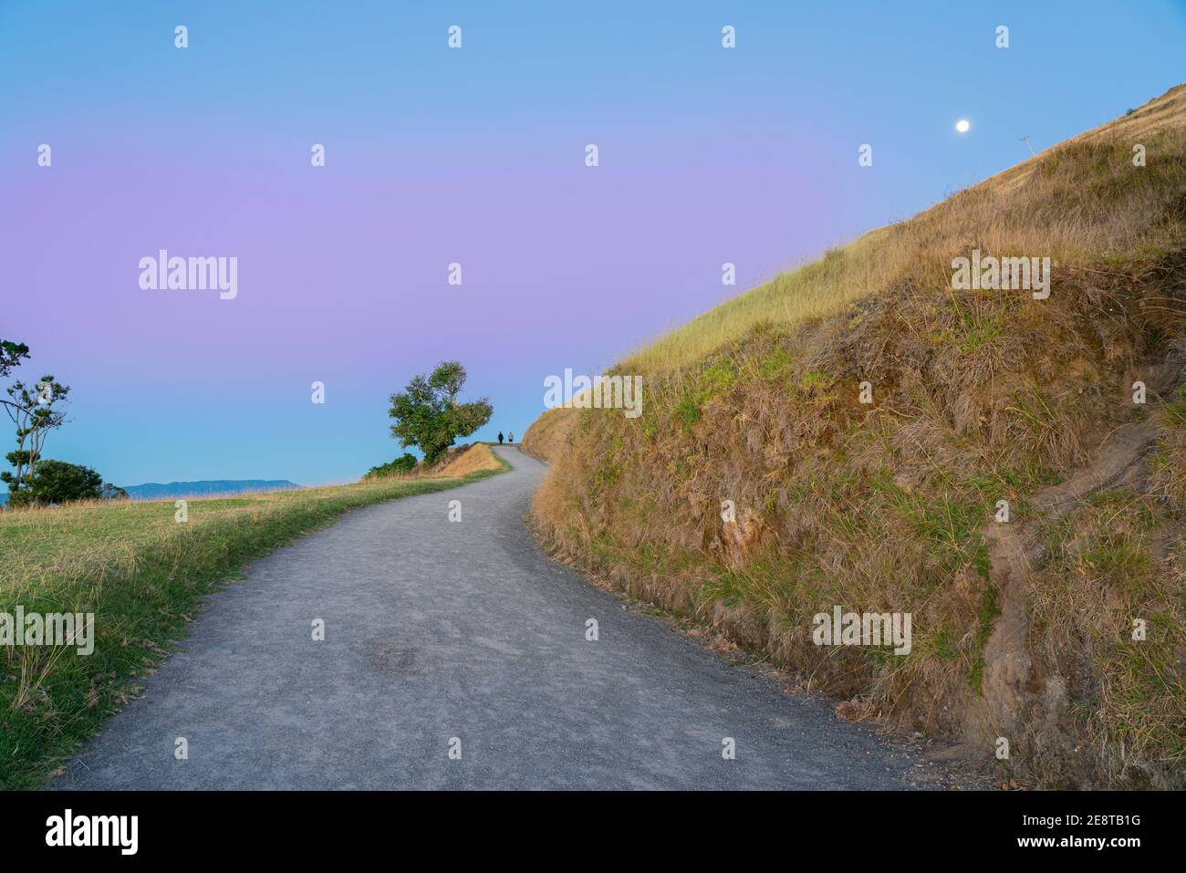 Path up Mount Maunganui and moon as sunrise casts a pink hue across sky ...