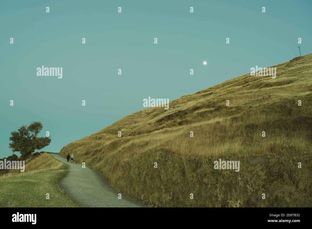 Path up Mount Maunganui and moon long exposure blurred walkers in ...