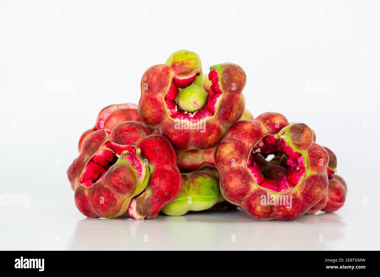 Pithecellobium hi-res stock photography and images - Alamy