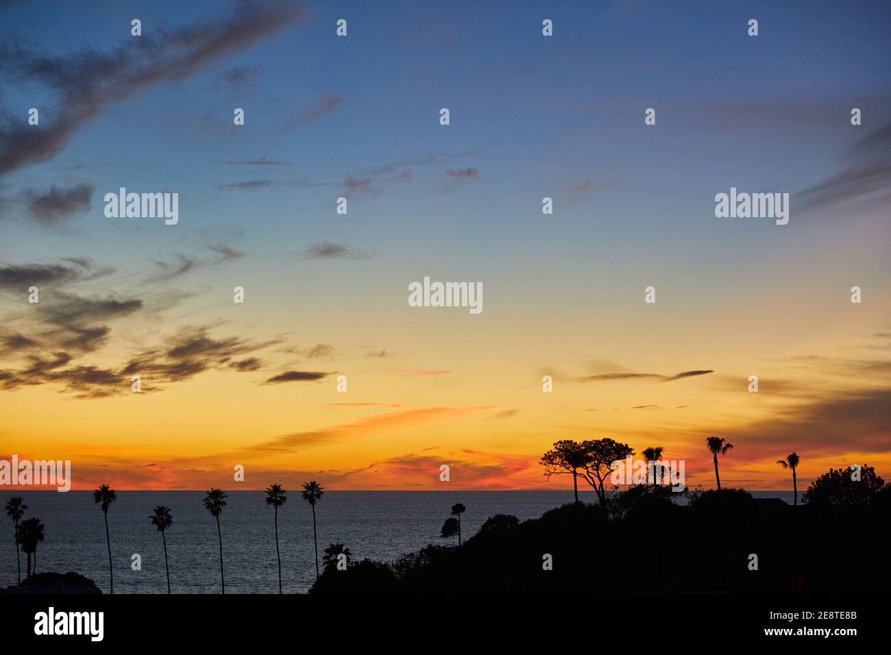 Southern California Ocean Sunset silhouette with palm trees Stock Photo ...