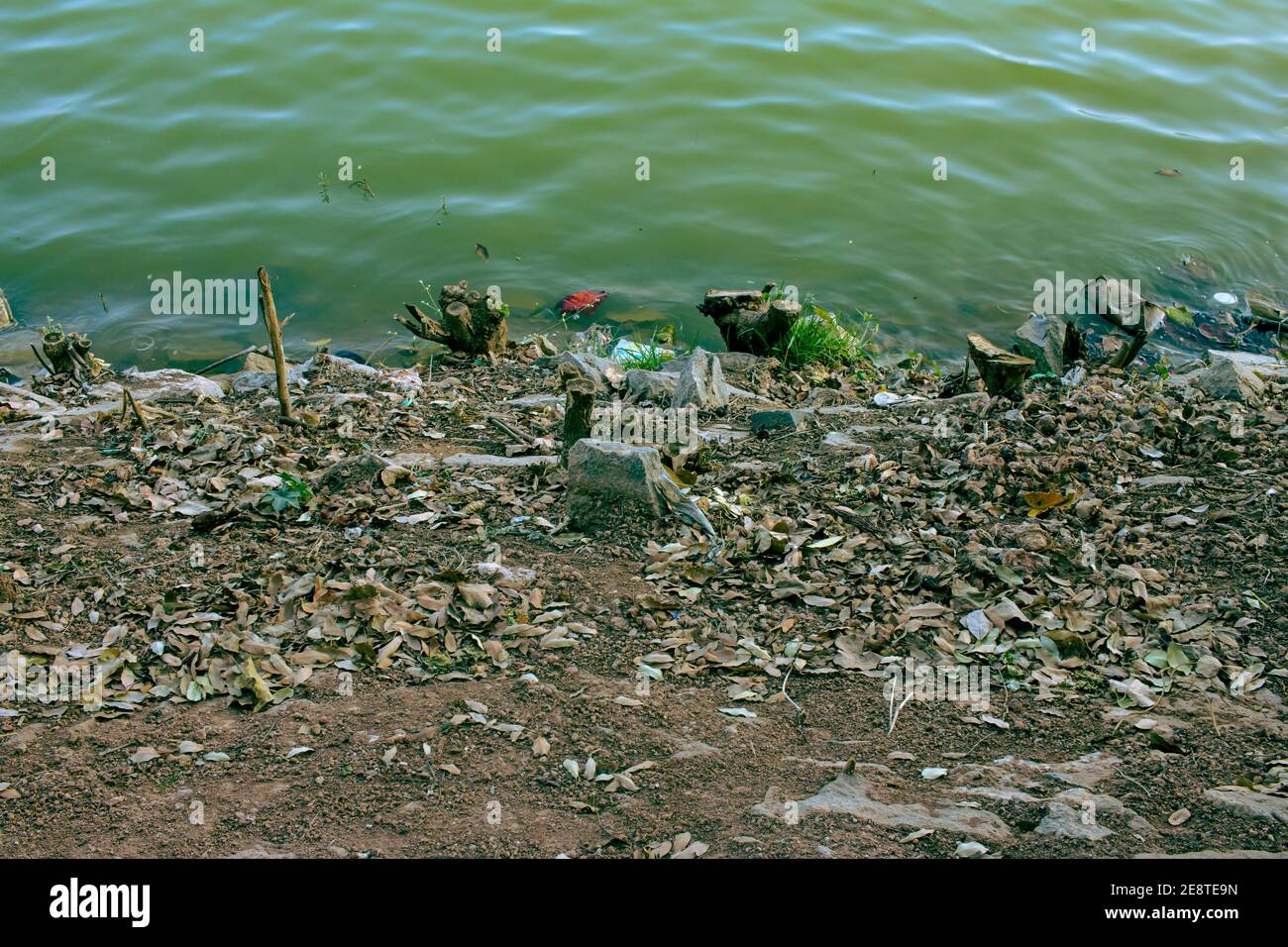 Bank of one of the biggest lake in Bangalore, Karnataka, India Stock ...