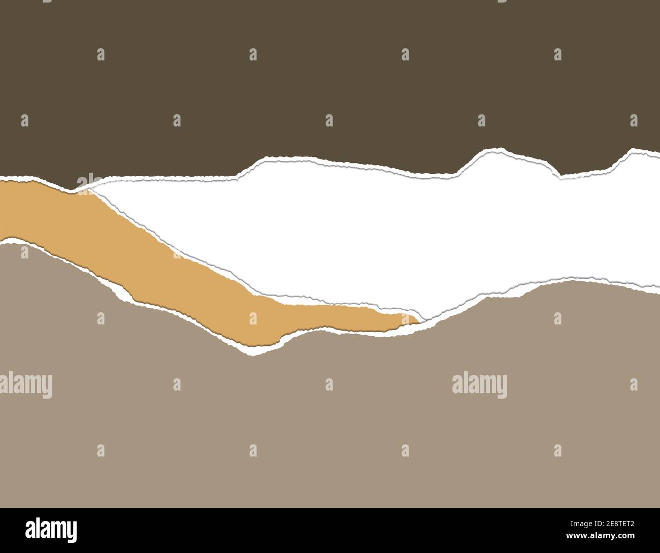 Ripped paper. Torn ripped pieces Vector Stock Vector Image & Art - Alamy