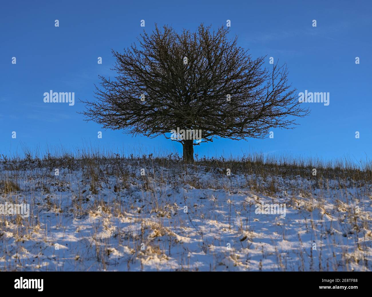 Mallnow, Germany. 30th Jan, 2021. A little snow lies on the slopes at ...