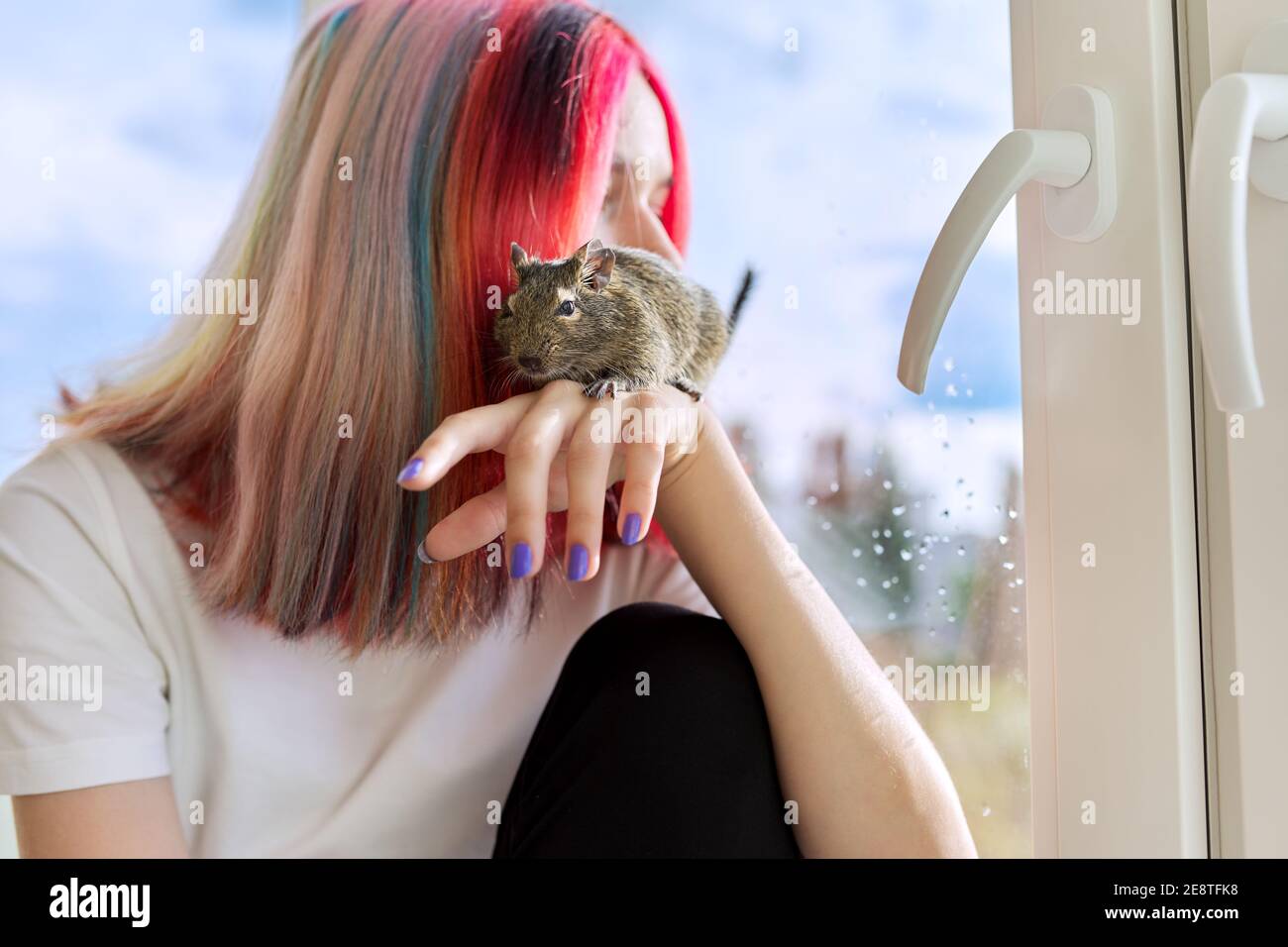 Young owner with pet and degu squirrel. Teenage girl looking out the ...