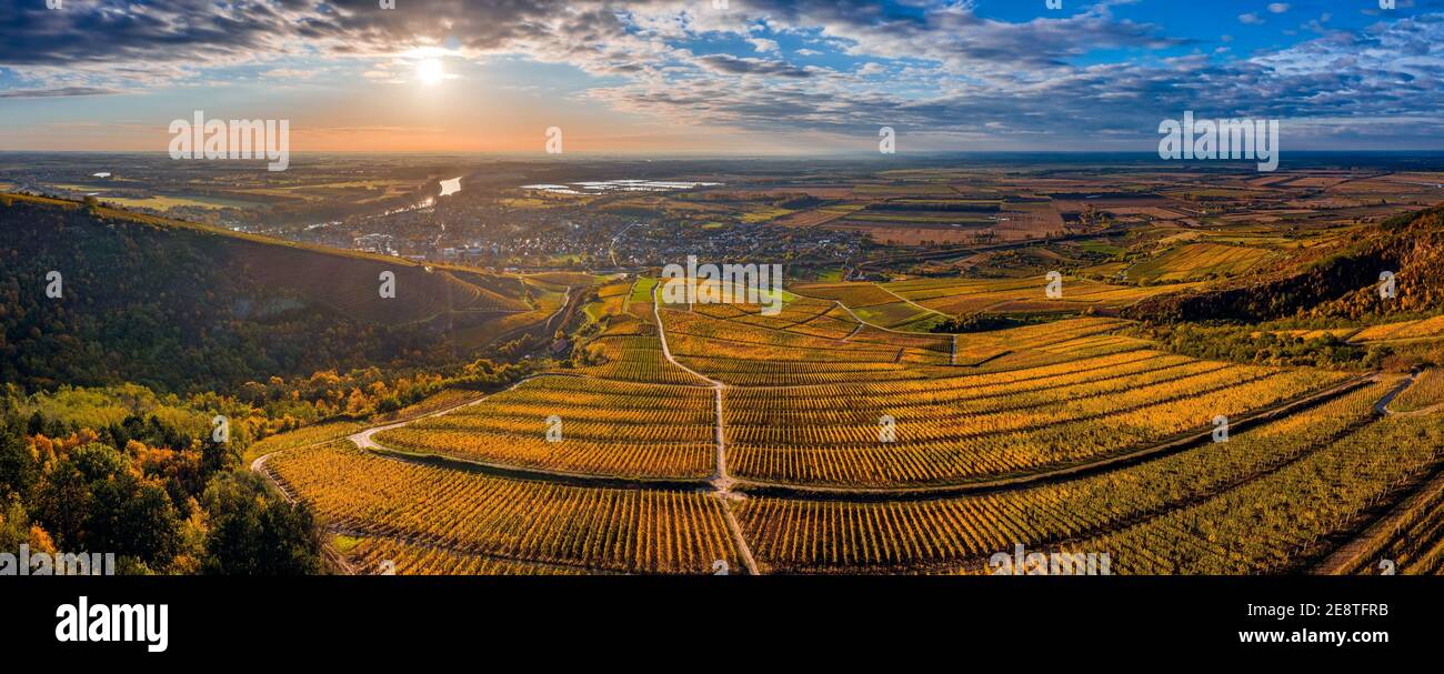 Tokaji wine hi-res stock photography and images - Alamy