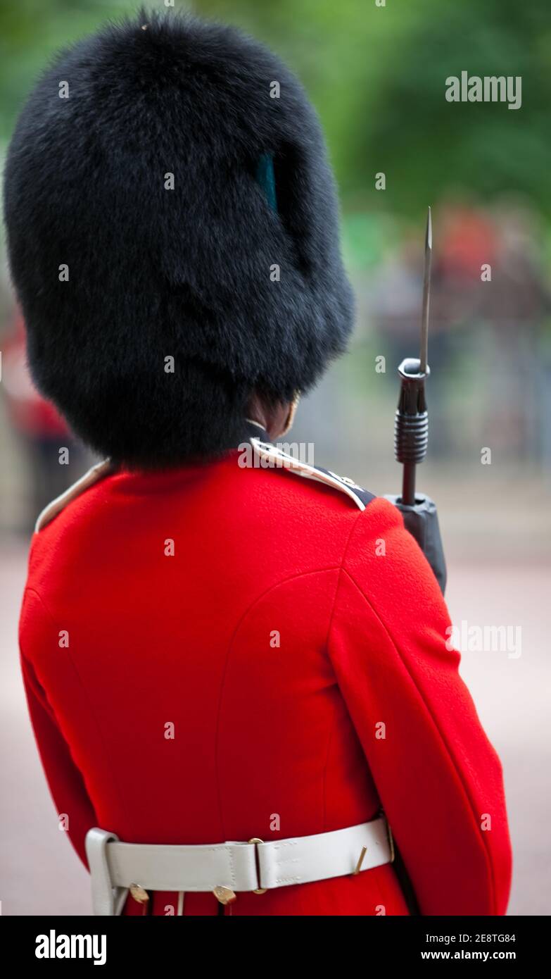 British ceremonial guardsmen with red tunics and bearskin hats parading ...
