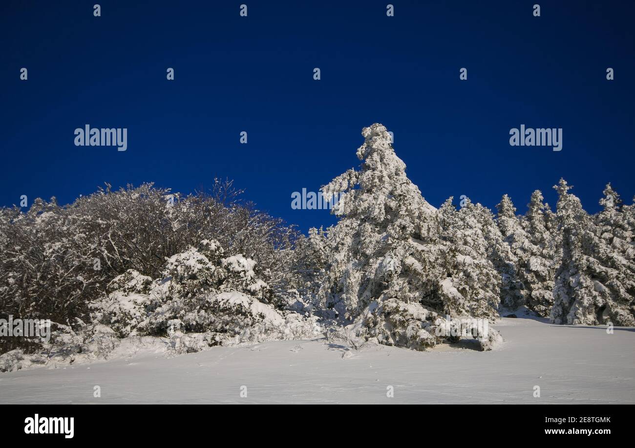 Winter card of italian apennines with snow. Typical landscape with ...