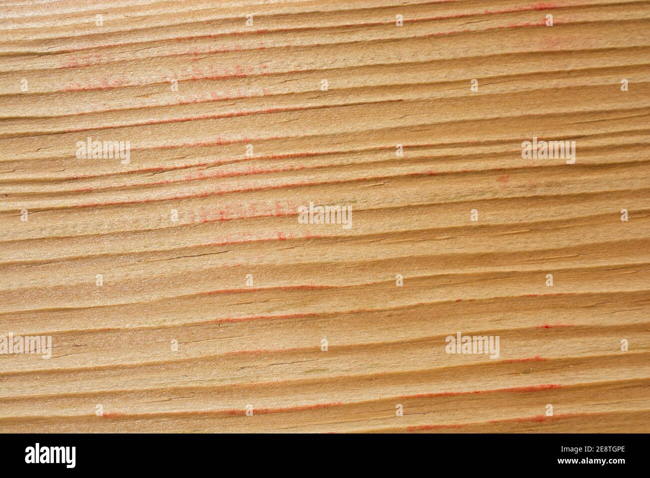 Timber background of wood texture. Abstract wood background Stock Photo ...