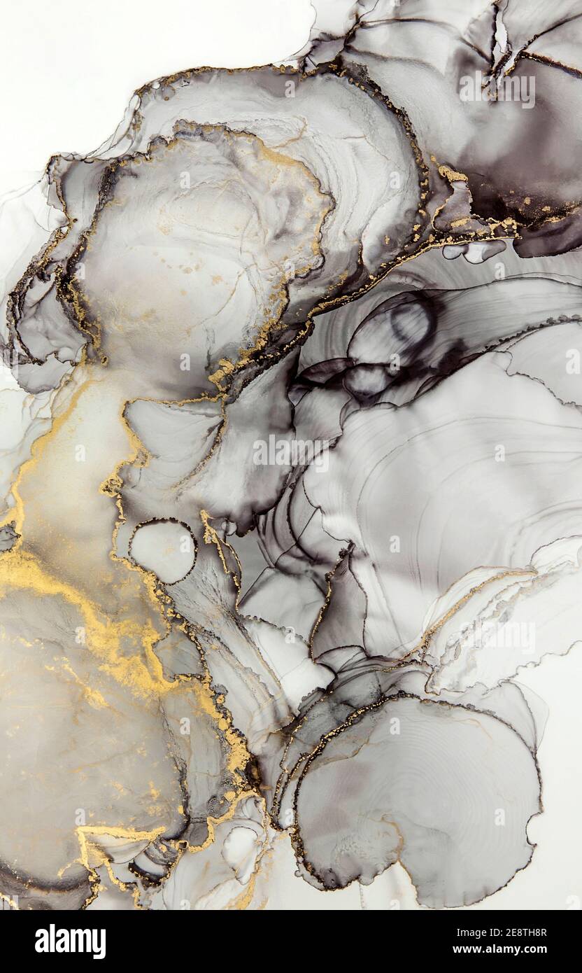 Delicate details draw hi-res stock photography and images - Alamy