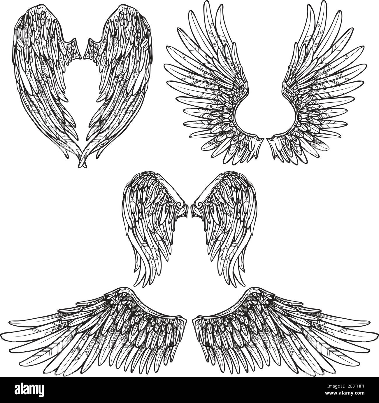 Angel or bird wings abstract sketch set isolated vector illustration ...