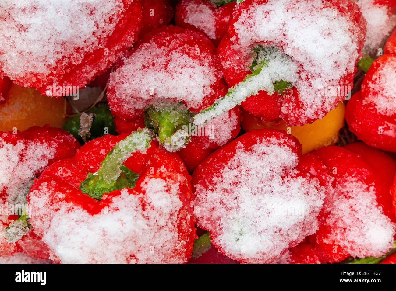 Outside of a red cabbage hi-res stock photography and images - Alamy