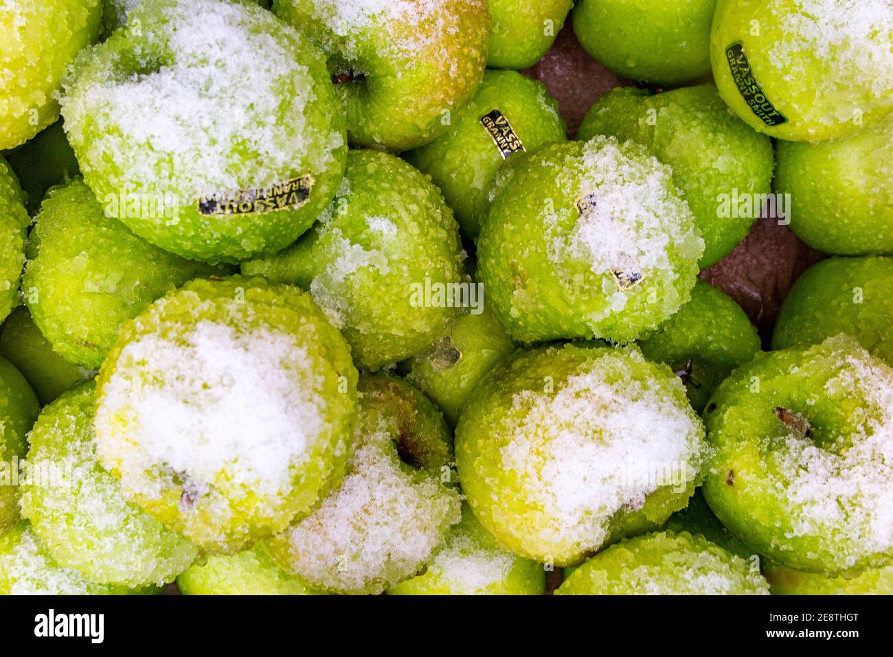 Apples outside with a covering of snow Stock Photo - Alamy
