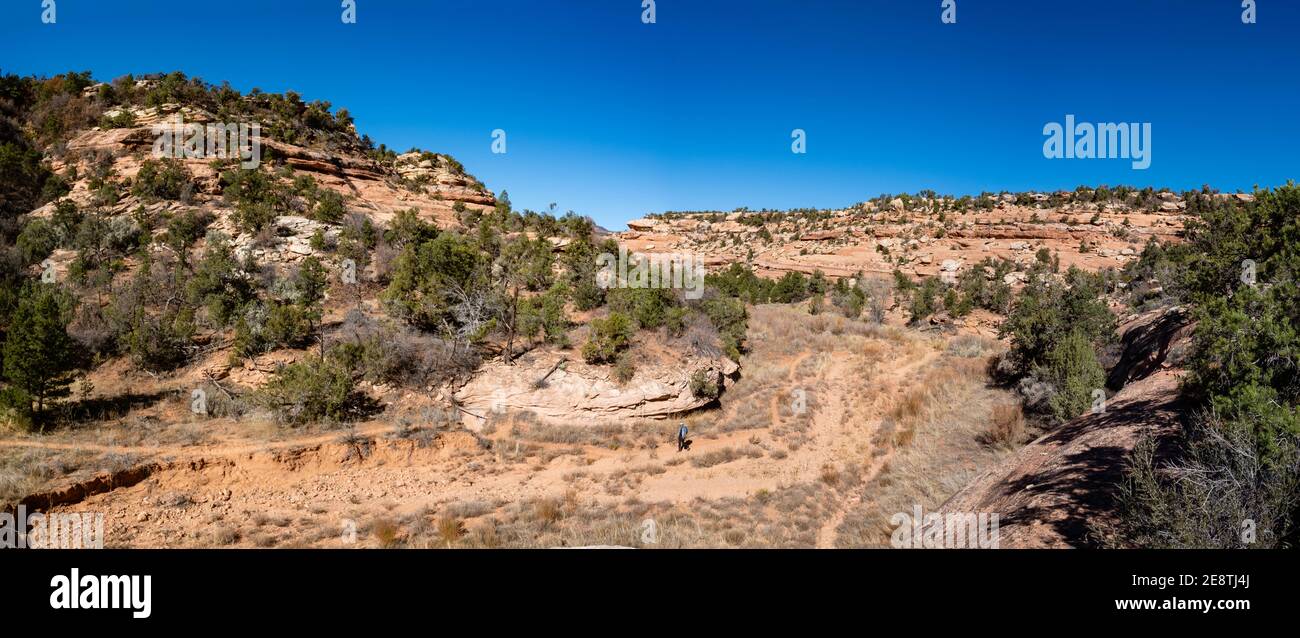 House on Fire granary ruin in Mule Canyon, Cedar Mesa. In Bears Ears ...