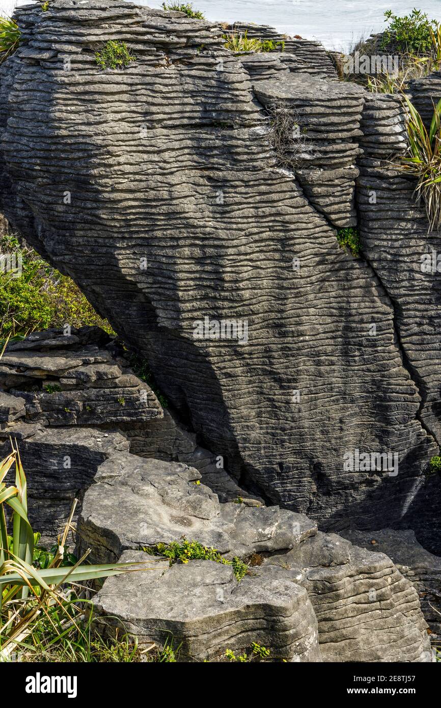 Pancake Rocks at Punakaiki, South Island, New Zealand. The heavily ...