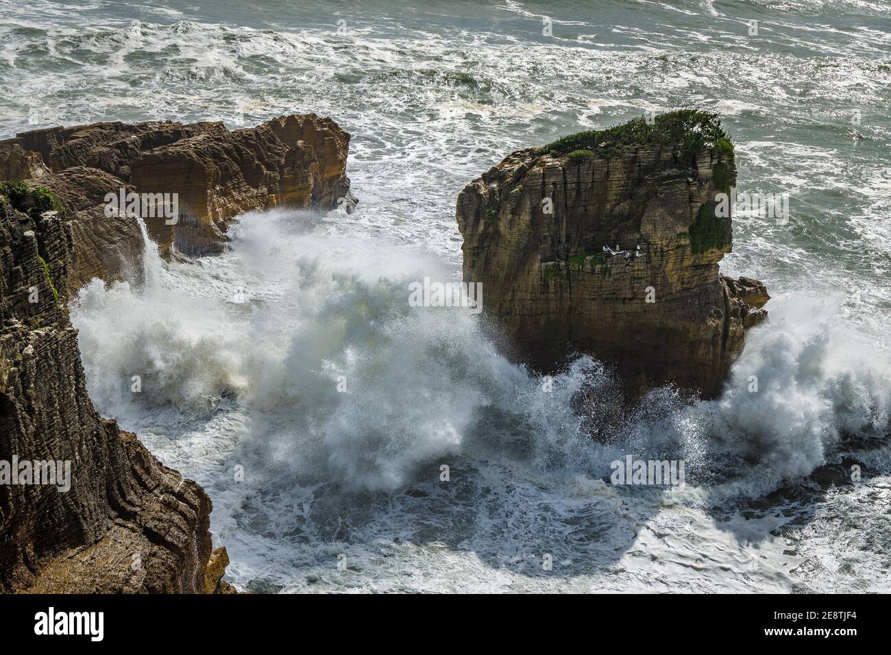 Pancake Rocks at Punakaiki, South Island, New Zealand. The heavily ...