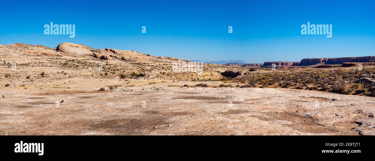 Walk to Wolfman panel petroglyphs at Combs Ridge, Butler Wash Road ...