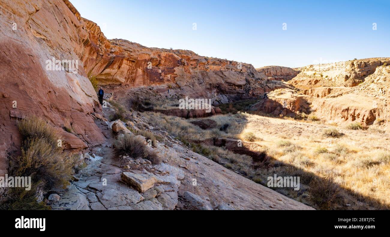 Humanoid petroglyph hi-res stock photography and images - Alamy