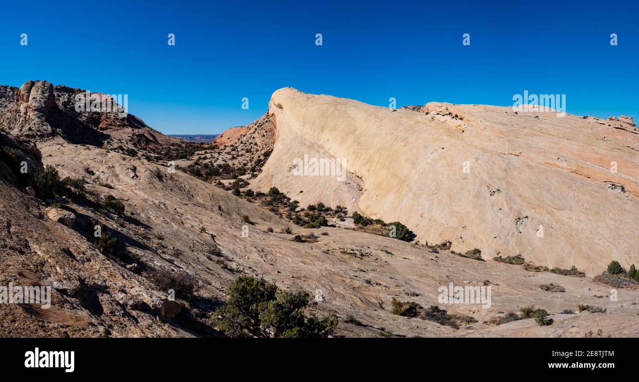 Walk to Processional panel petroglyphs at Combs Ridge, Butler Wash Road ...